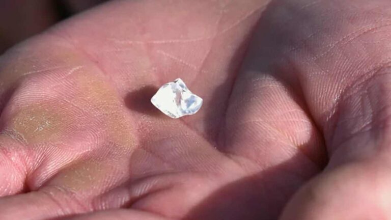 Un niño con 14 años que paseaba por el parque encuentra un diamante de ...