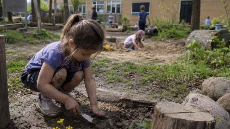 Los patios escolares vuelven a llenarse de tierra, barro y naturaleza ...
