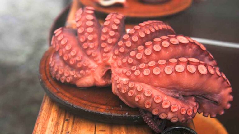 La villa marinera que ha hecho del pulpo su gran reclamo gastronómico y ...